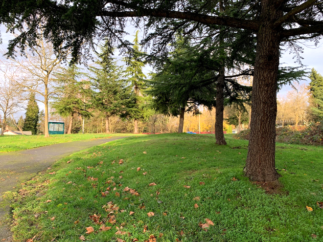 White Center Ponds Redesign Project - King County, Washington